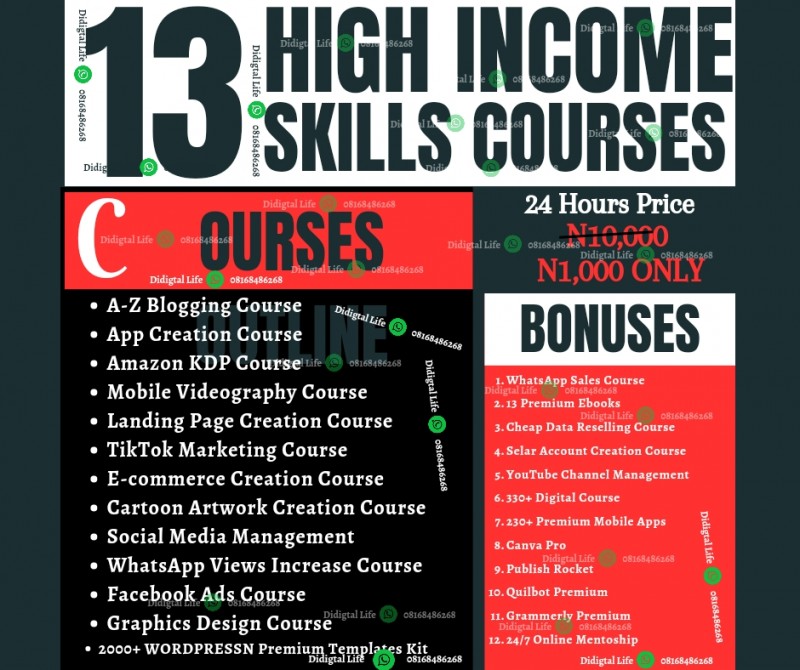 Buy Over 13 High Income Skills by TechZen on Selar