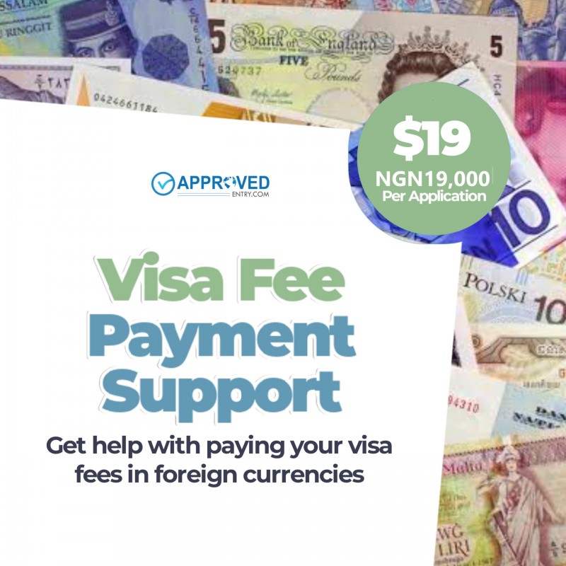 Buy AE Visa Fee Payment Support by Approved Entry on Selar