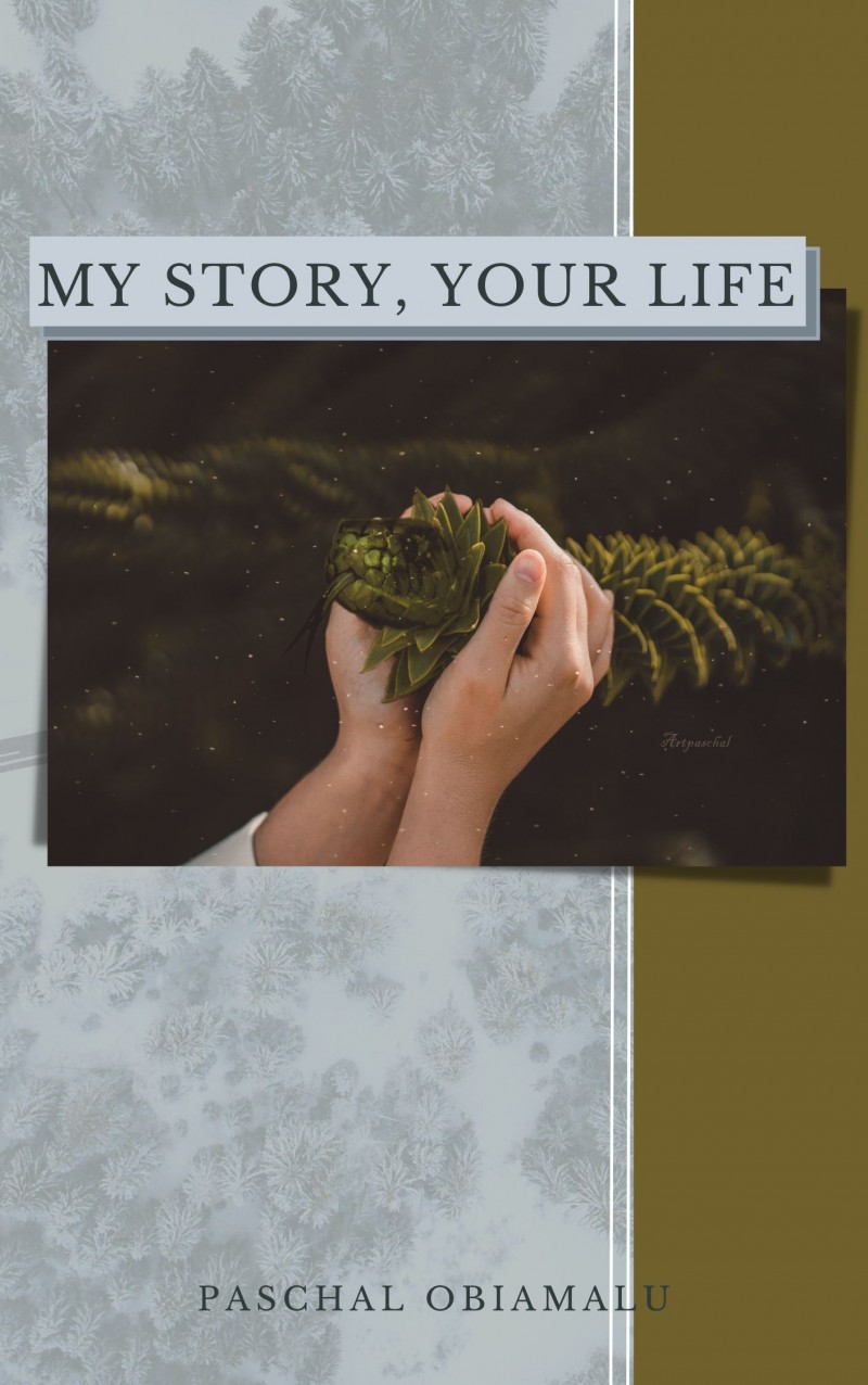 Get MY STORY, YOUR LIFE by Paschal Obiamalu on Selar