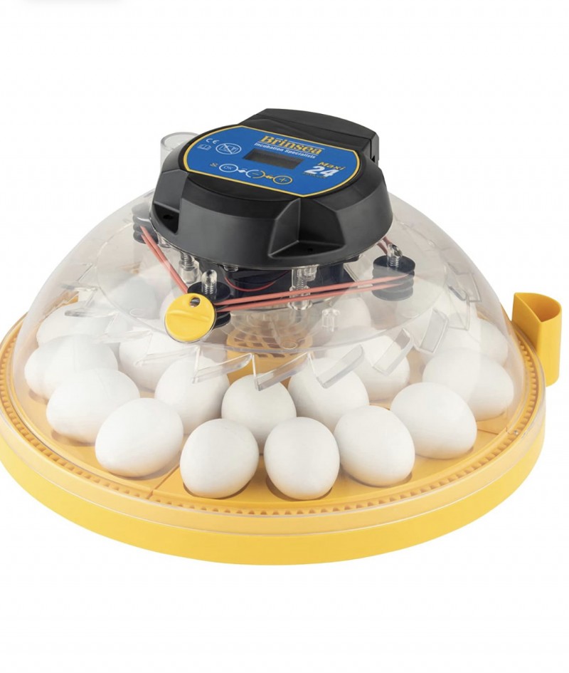 Buy Eggs incubator by David Atawoje on Selar