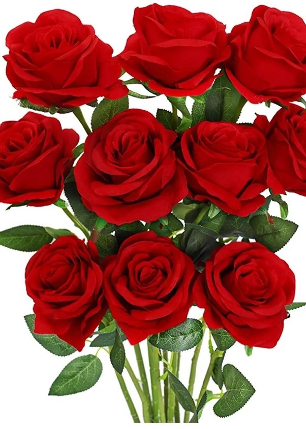 Buy Flower 🌺 by Sheriff Ayomon Azeez on Selar