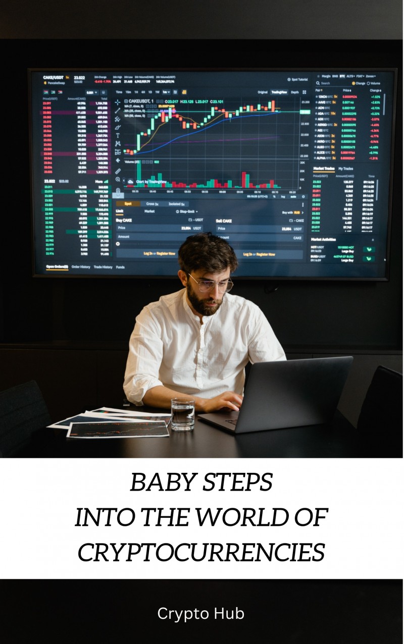 Buy Baby Steps Into The World Of Cryptocurrencies by Bhumsy on Selar