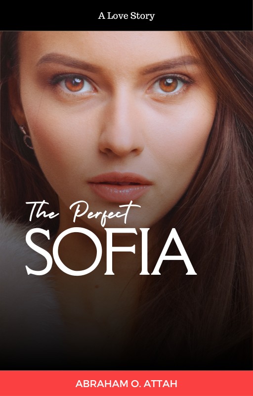Buy The Perfect SOFIA by BigBros Books on Selar