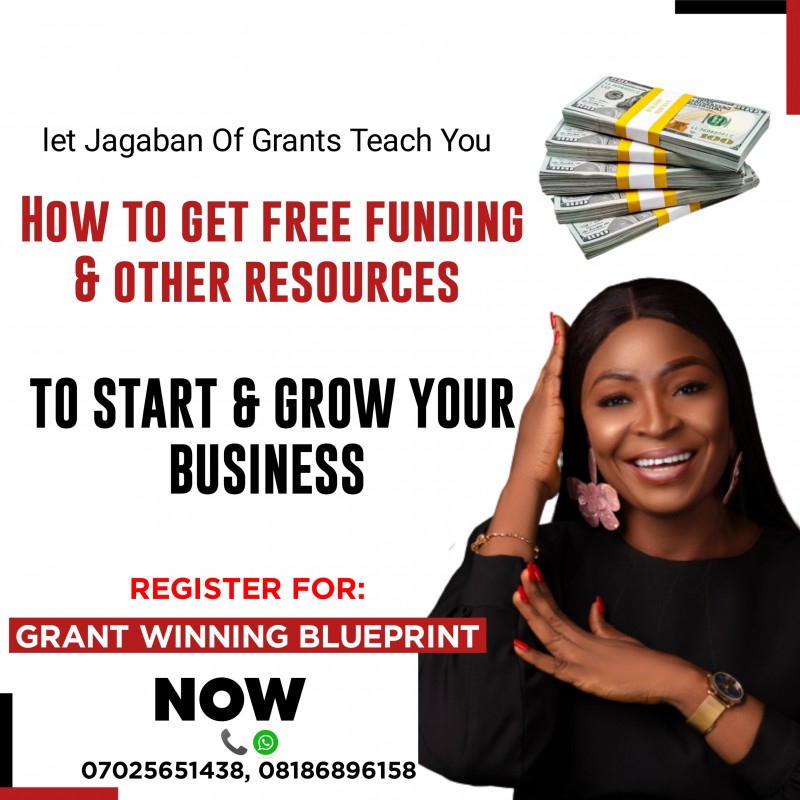 Buy Grant Winning Blueprint by BIZGRANT on Selar