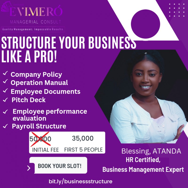 Buy Structure your Business like a Pro! by Blessing Atanda on Selar