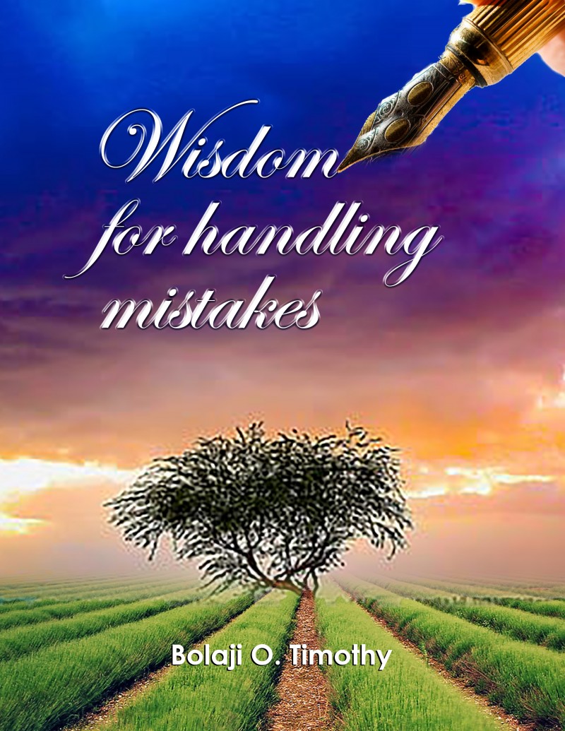 Buy Wisdom for Handling Mistakes by Bolaji O.Timothy on Selar