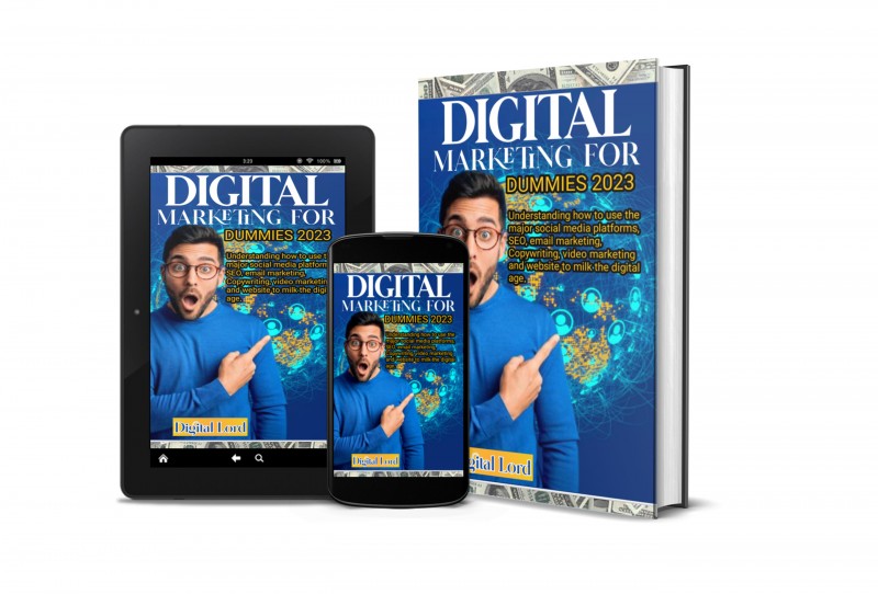 Buy Digital Marketing for dummies 2023 by Candidus Chikwado on Selar