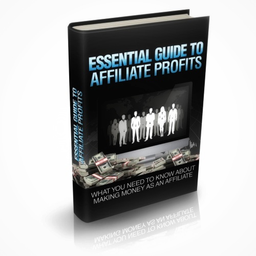 Buy Essential Guide to Affiliate Profits by Kay Reads on Selar.co