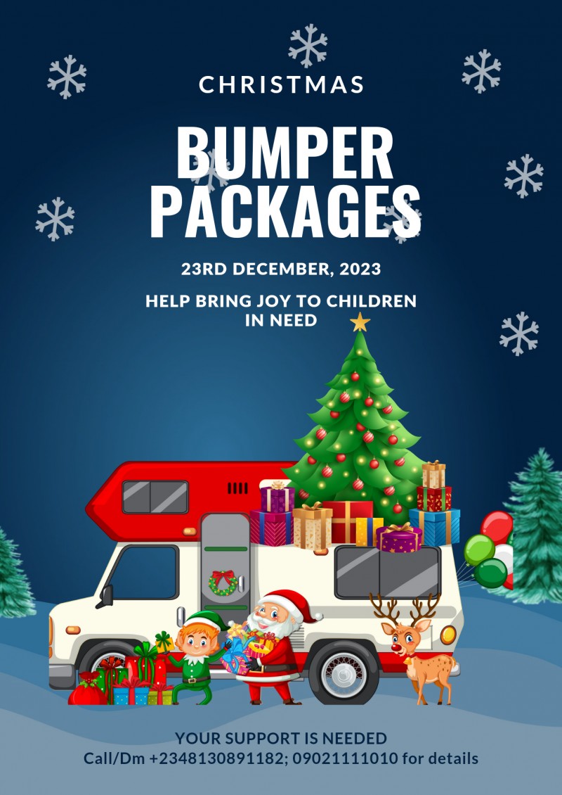 Buy CHRISTMAS ⛄ BUMPER PACKAGES by Chidera Genevieve Marizu on Selar