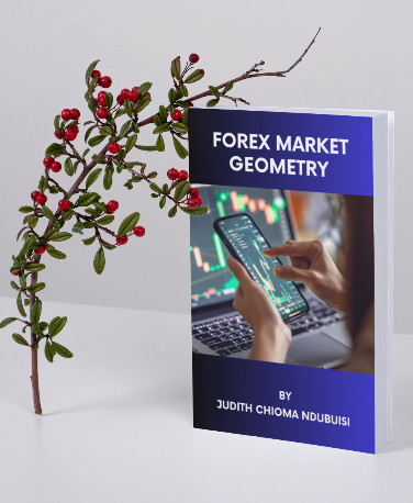 Buy FOREX MARKET GEOMETRY by Judith chioma Ndubuisi on Selar