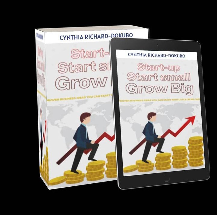 Buy Start-Up Start Small Grow Big by Classy Care Services on Selar