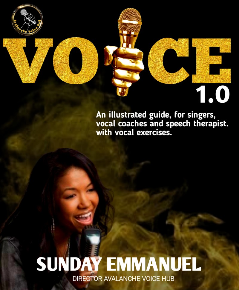 Buy Voice by Sunday Emmanuel on Selar