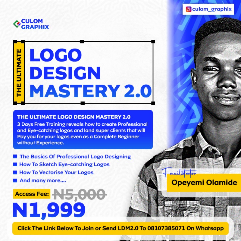 Buy Logo Design Mastery 2.0 by Culom Graphix on Selar