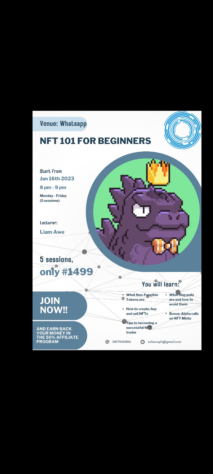 Buy NFT 101 For Beginners by William Awe on Selar
