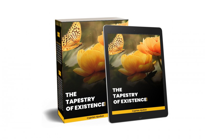 Buy The Tapestry of Existence by Ajudua Cyprian Ifechukwude on Selar