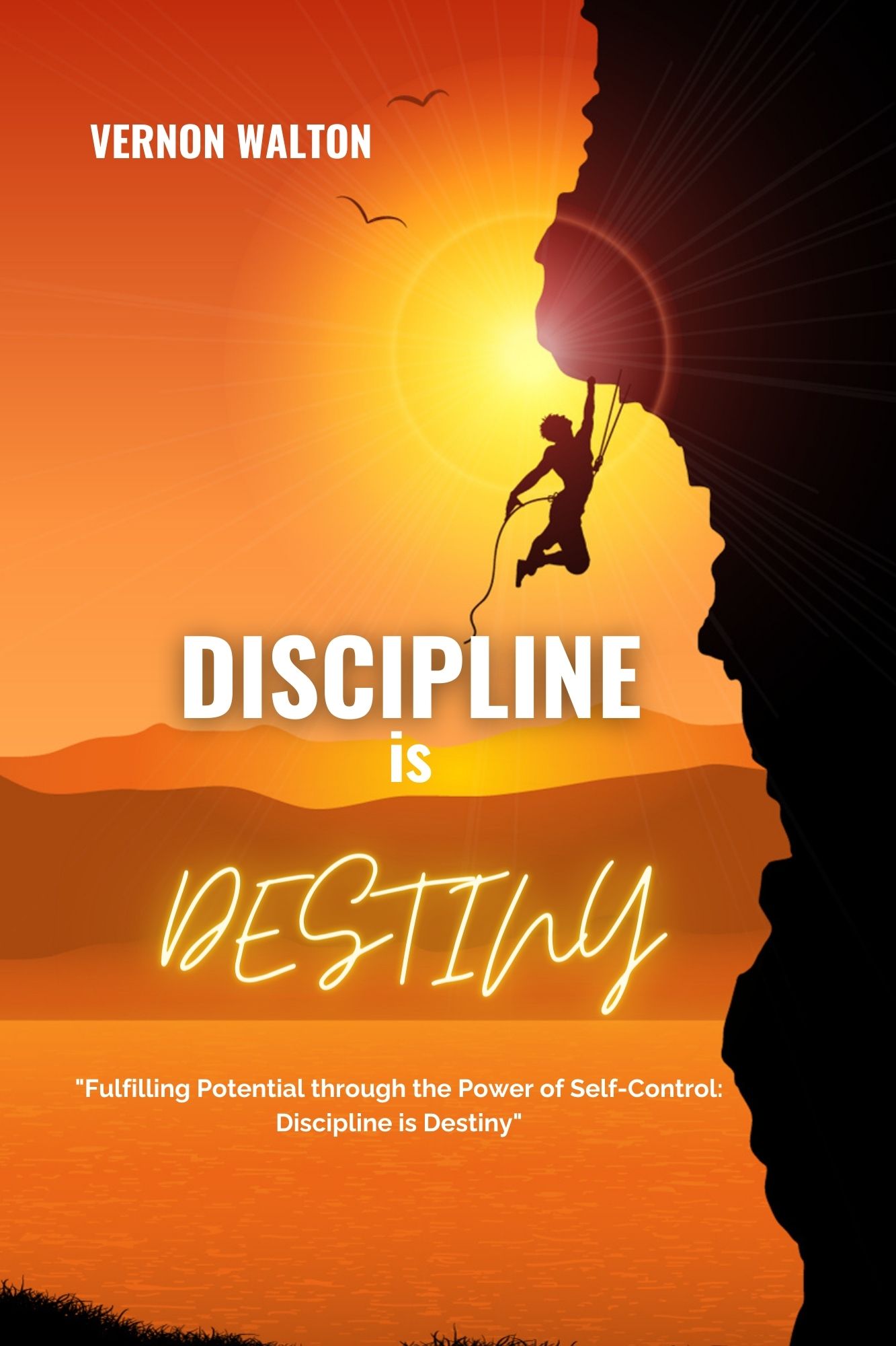 Buy DISCIPLINE IS DESTINY by Uchechi Olaoluwa on Selar