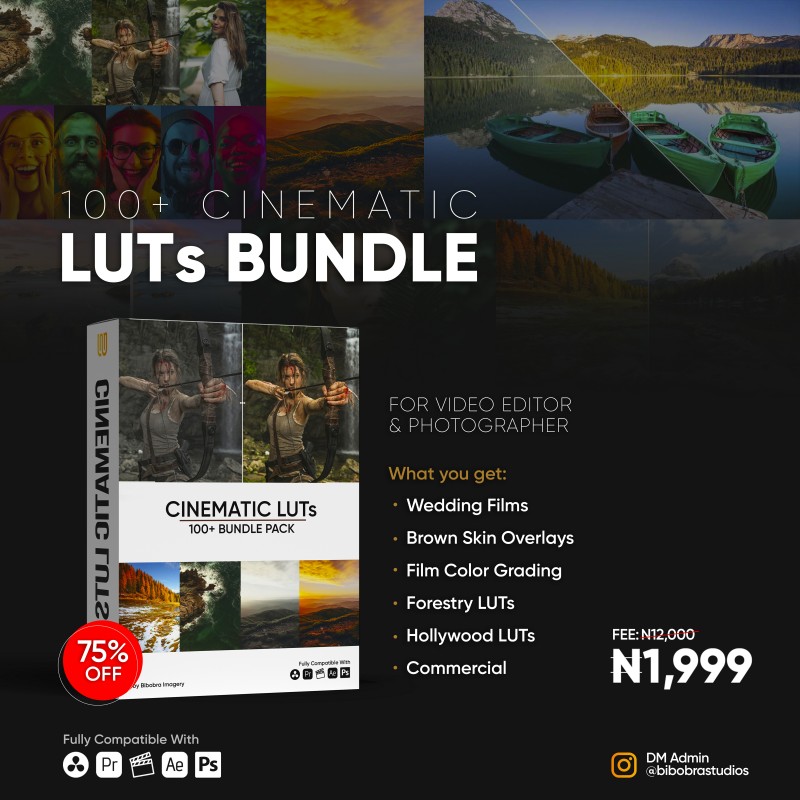 Buy 100+ CINEMATIC LUTs PACK by Bibobra Studios on Selar