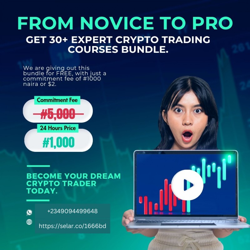 Buy From Novice to Pro: Learn with 30+ Expert Crypto Trading Courses ...