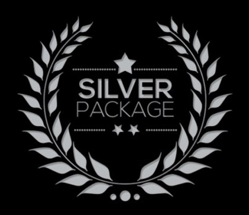 Buy Silver Pack by Digital Business Academy on Selar