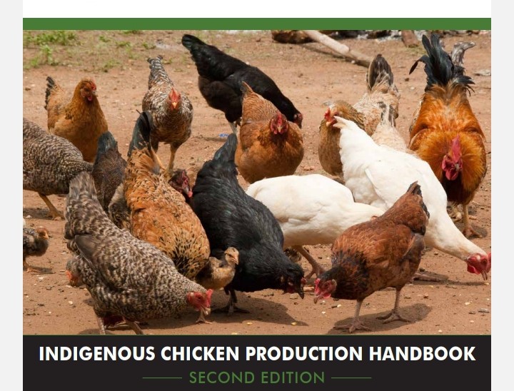 Buy Indigenous chicken production hand book by Digital online learning ...