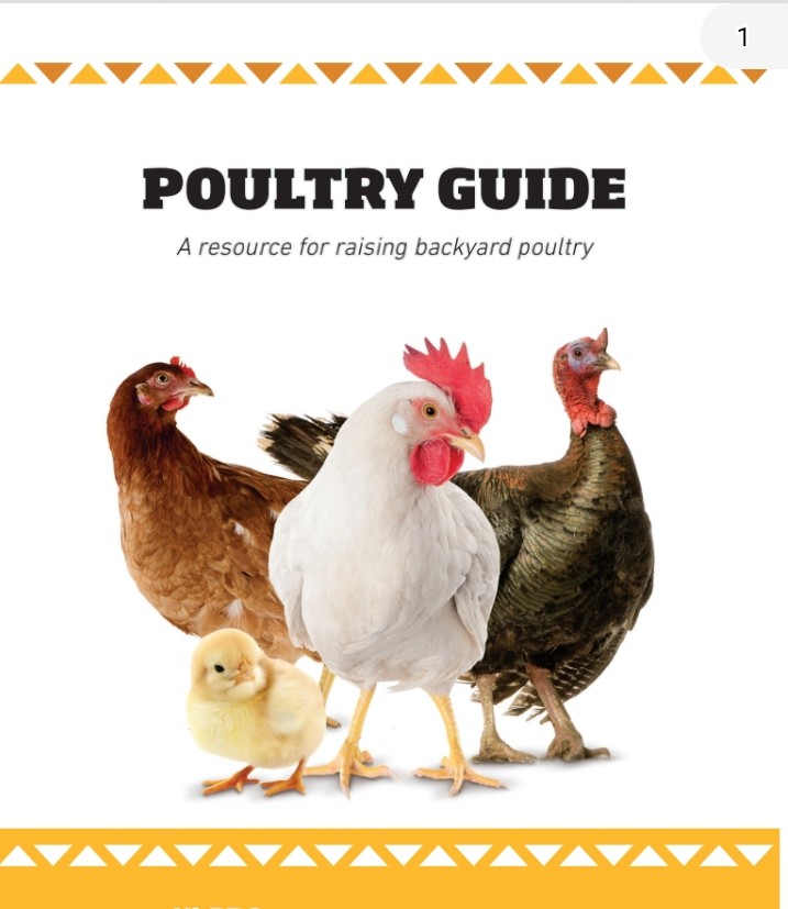 Buy Poultry Guide A resources for risen backyard poultry by Digital ...