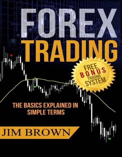 Buy FOREX TRADING- THE BASICS EXPLAINED IN SIMPLE TERMS by DIGITAL ...