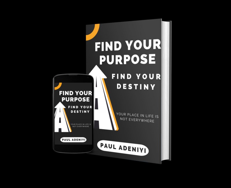 Buy Find Your Purpose; Find Your Destiny by Paul Adeniyi on Selar