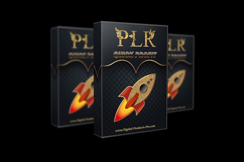 Buy PLR Quick Profit by Adesuyi Moses on Selar