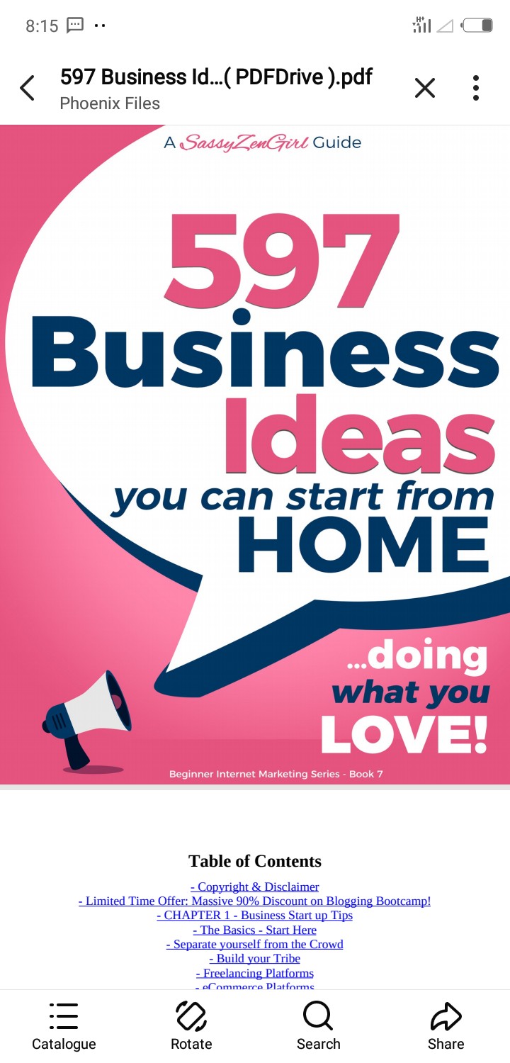 Buy 500+ Businesses you can start at the comfort of your home by OJO PELUMI KEHINDE on Selar