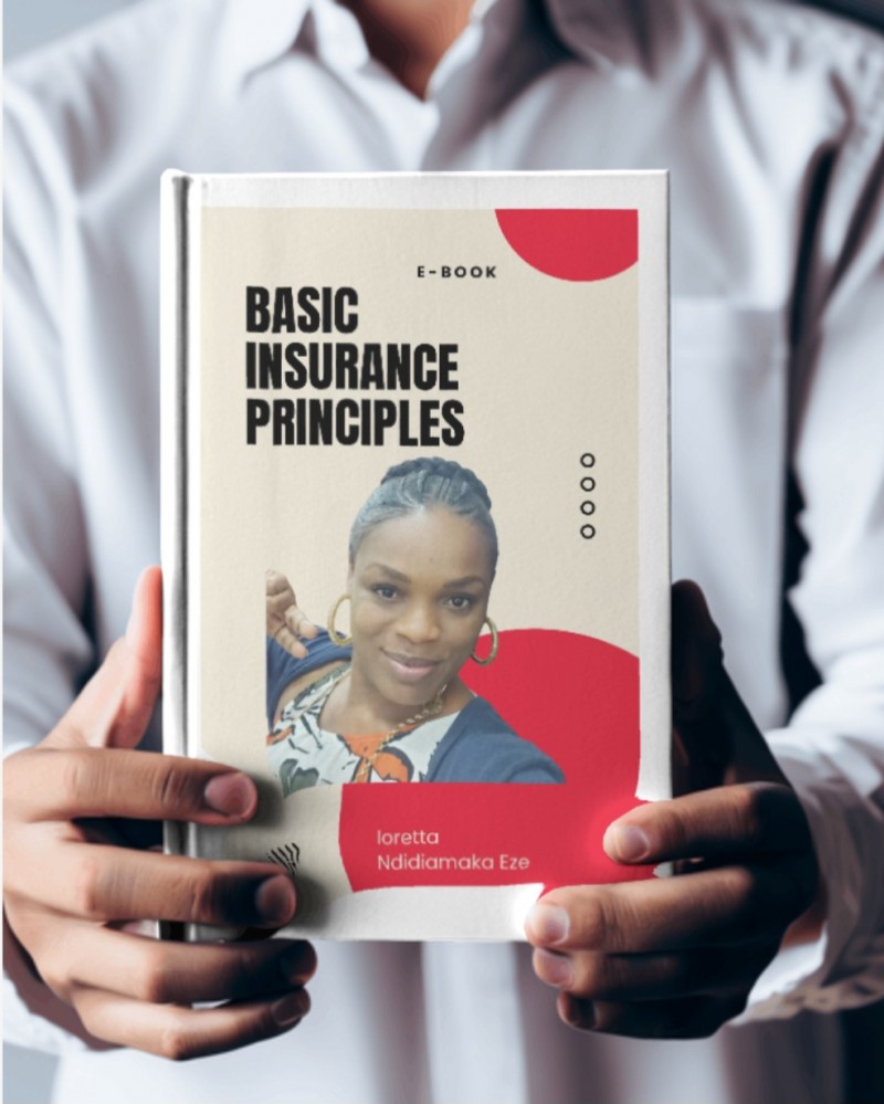 Buy Basic Insurance Principles by loretta Eze on Selar
