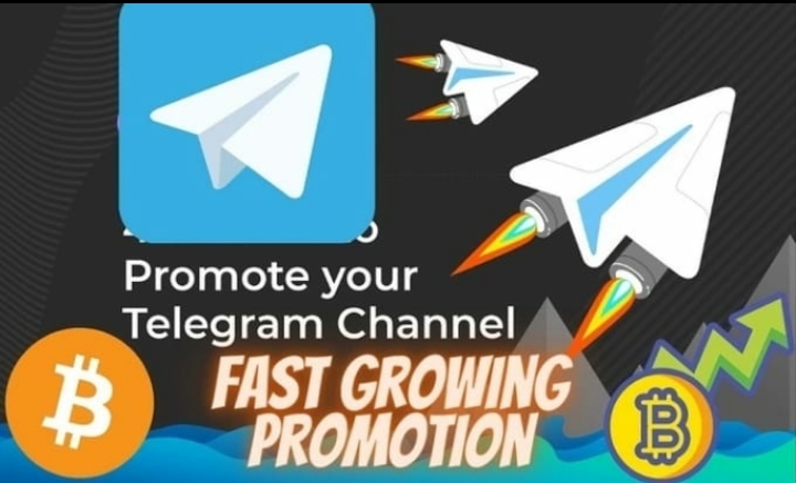 Buy ORGANIC TELEGRAM PROMOTION by Israel Ajayi on Selar