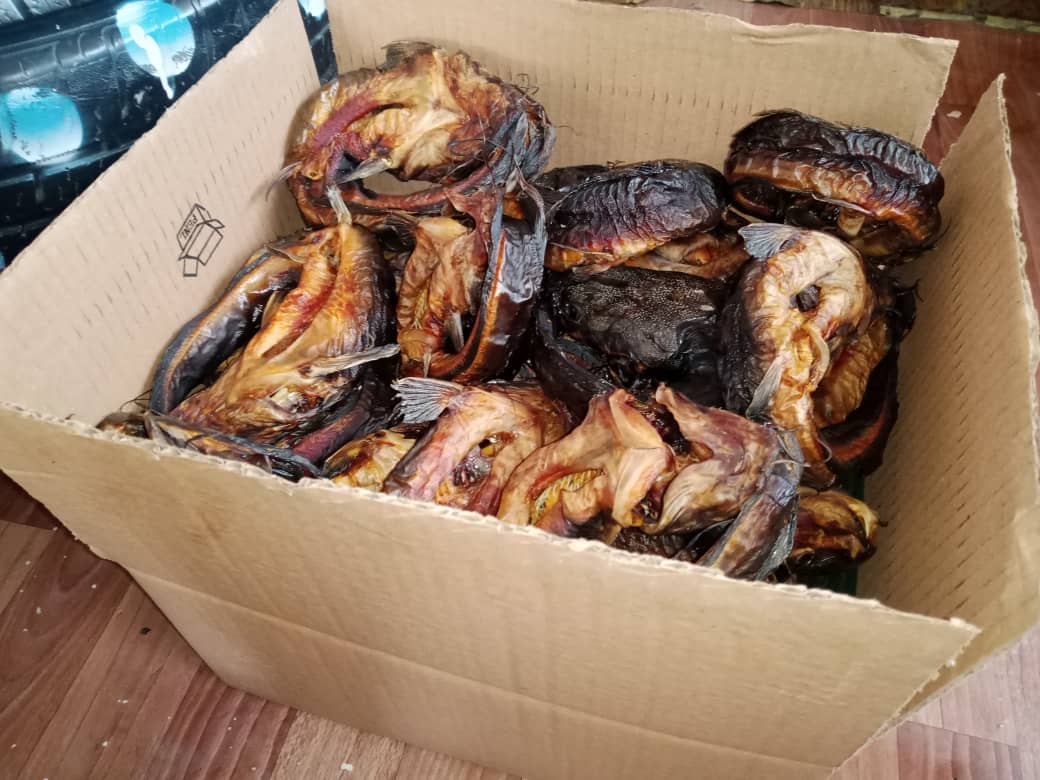 Buy Carton of Oven Dried Fish by Edavids Aquaworld on Selar