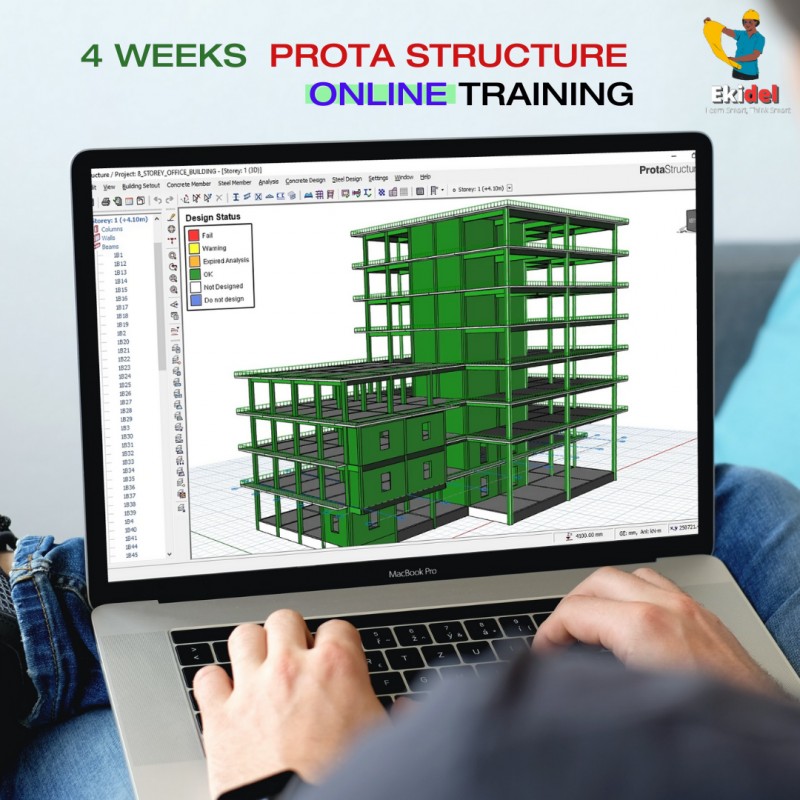 Buy 4 - Weeks Training on Prota Structure (Advance Level) by Ekidel ...