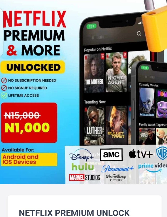 Buy Netflix premium by Vtech on Selar.co