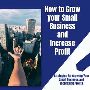 Buy How to Grow your Small Business and Increase Profit: Strategies for ...
