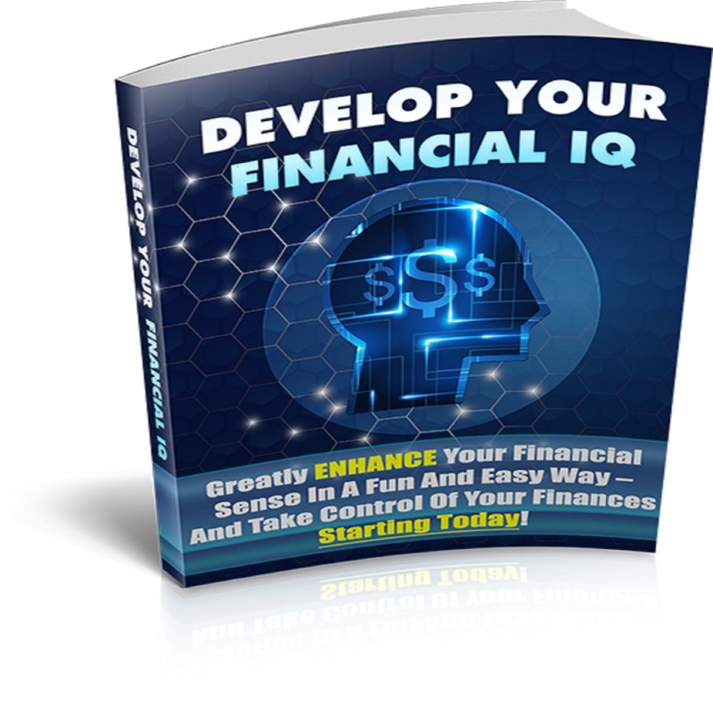Buy DEVELOP YOUR FINANCIAL IQ by Fahims Brothers on Selar