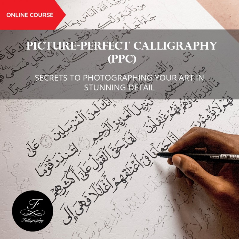 Buy PICTURE-PERFECT CALLIGRAPHY: Photographing Your Art in Stunning ...