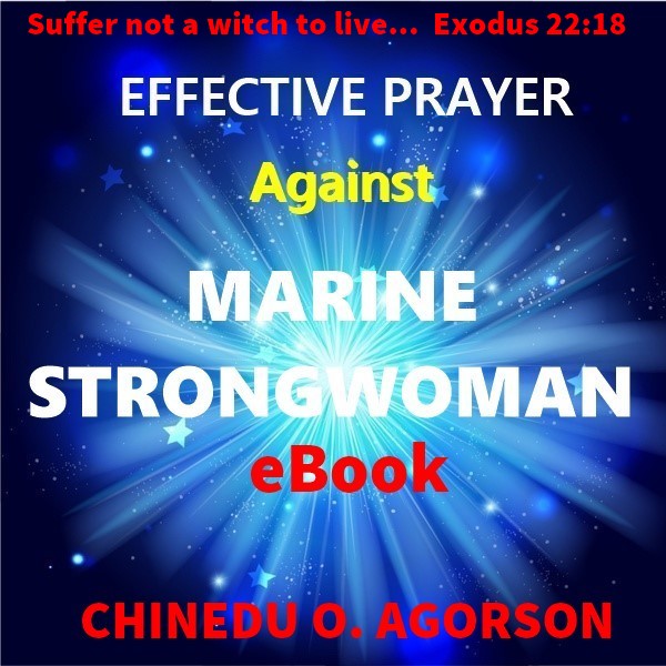 Buy eBook - How to Defeat the Marine Strong Woman Assigned Against you ...