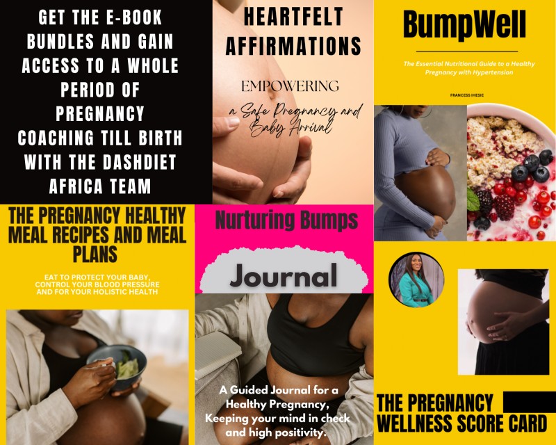 Buy THE DASHDIET AFRICA PREGNANCY SUCCESS EBOOKS by Francess Ihesie on Selar