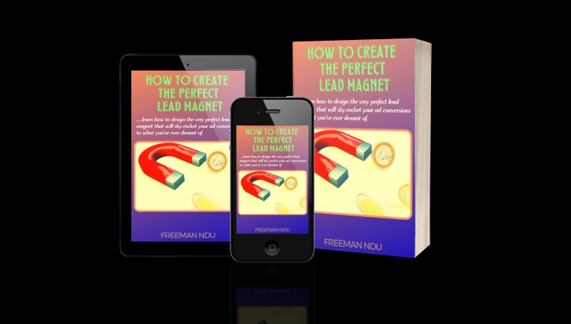 Buy THE PERFECT LEAD MAGNET CREATION BLUEPRINT by Freeman Ndu on Selar