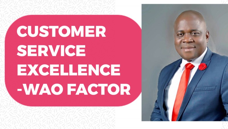 Buy CUSTOMER SERVICE EXCELLENCE- WAO FACTOR by Dr. Friday Onuobia Moses on Selar