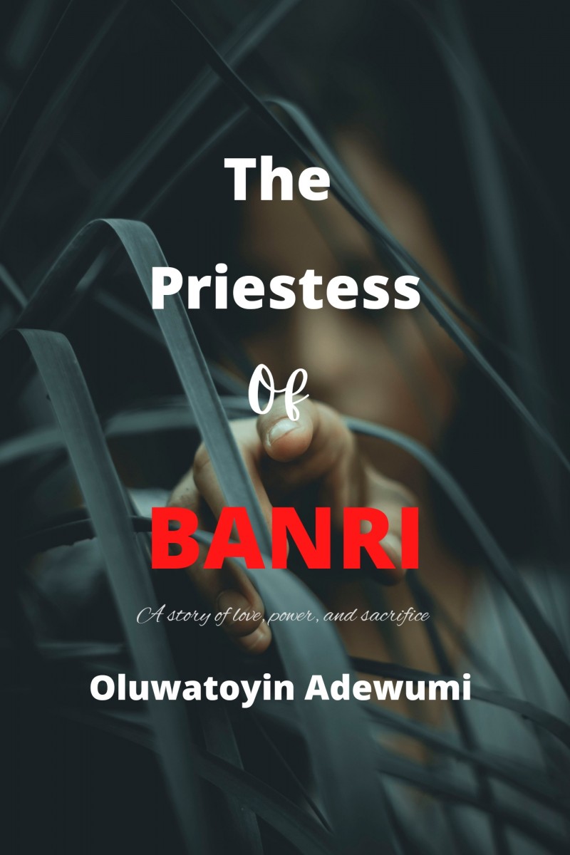 Get THE PRIESTESS OF BANRI by Oluwatoyin Adeyinka Adewumi on Selar