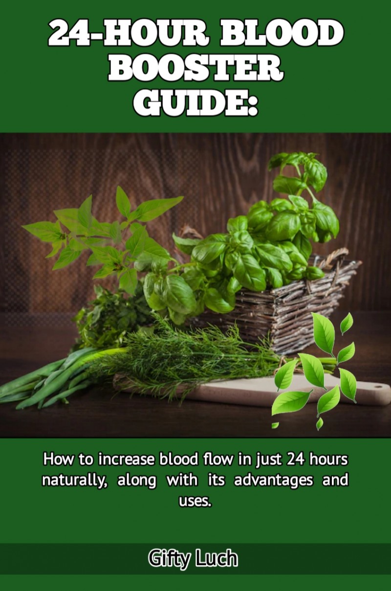 Buy 24-HOUR BLOOD BOOSTING GUIDE by Nnabugwu Gift Oluchi on Selar