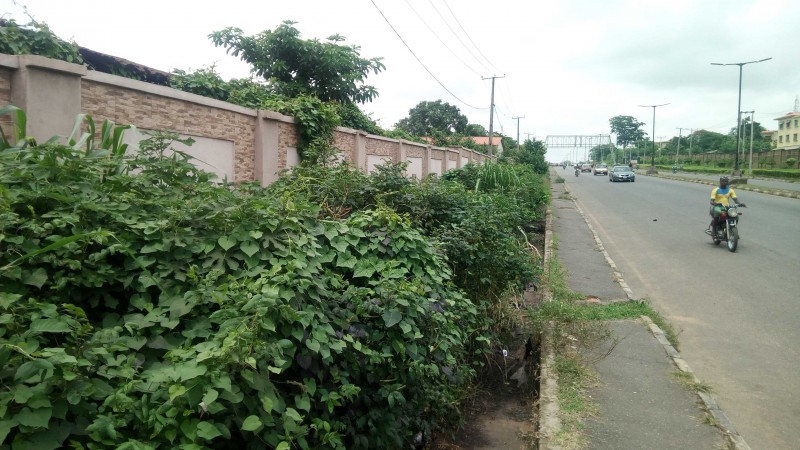 Buy Faforon Herbal Product. by Oladeji David Abayomi on Selar