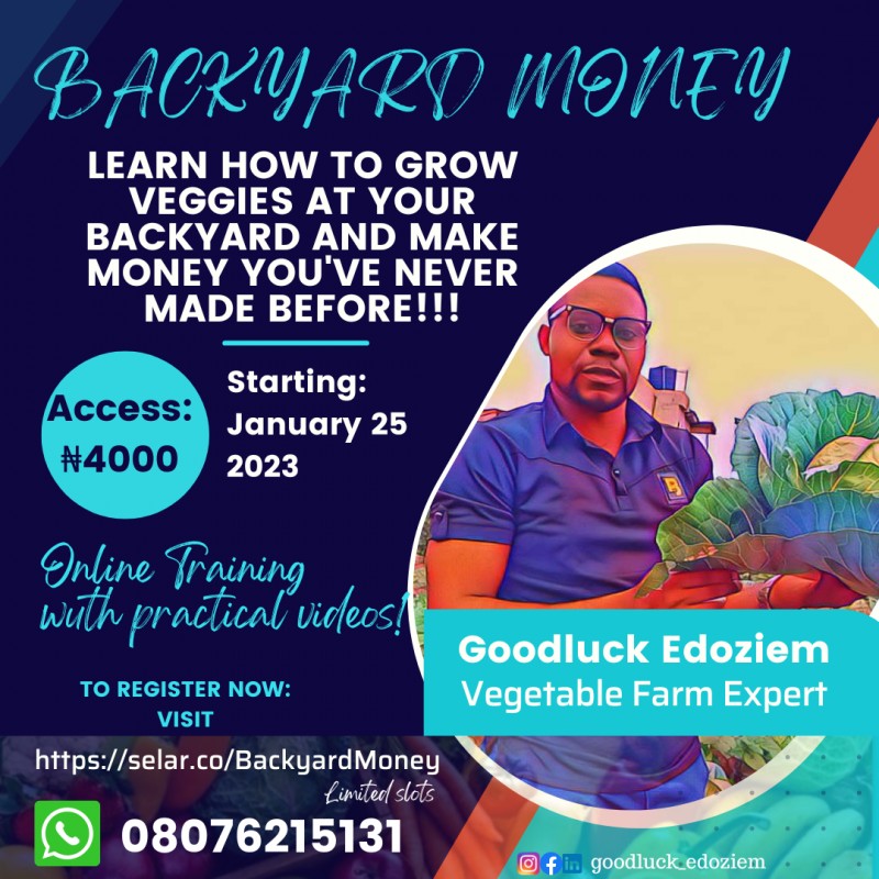 Buy BACKYARD MONEY by Goodluck Edoziem on Selar