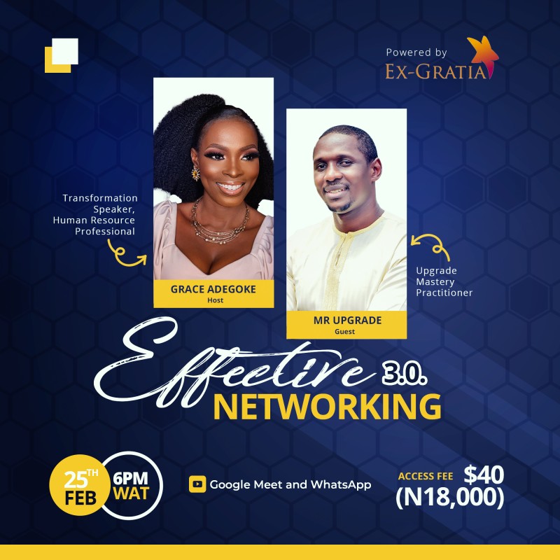 Buy Effective Networking 3.0 by Grace Adegoke on Selar