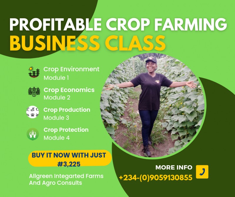 Buy Profitable Crop Farming Business Class by Lydia Ekpong Thompson on ...