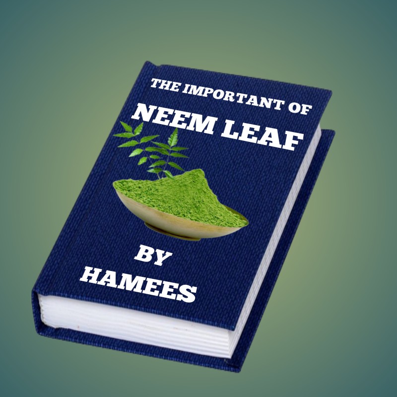 Buy The important of Neen leaf by Hamisu Ibrahim on Selar