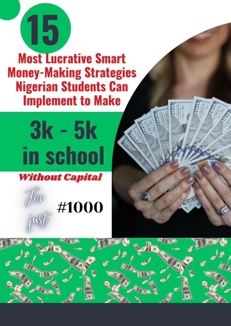 Buy 15 Most Lucrative Smart Money-Making Strategies Nigerian Students Can Do To Make 3k - 5k in ...