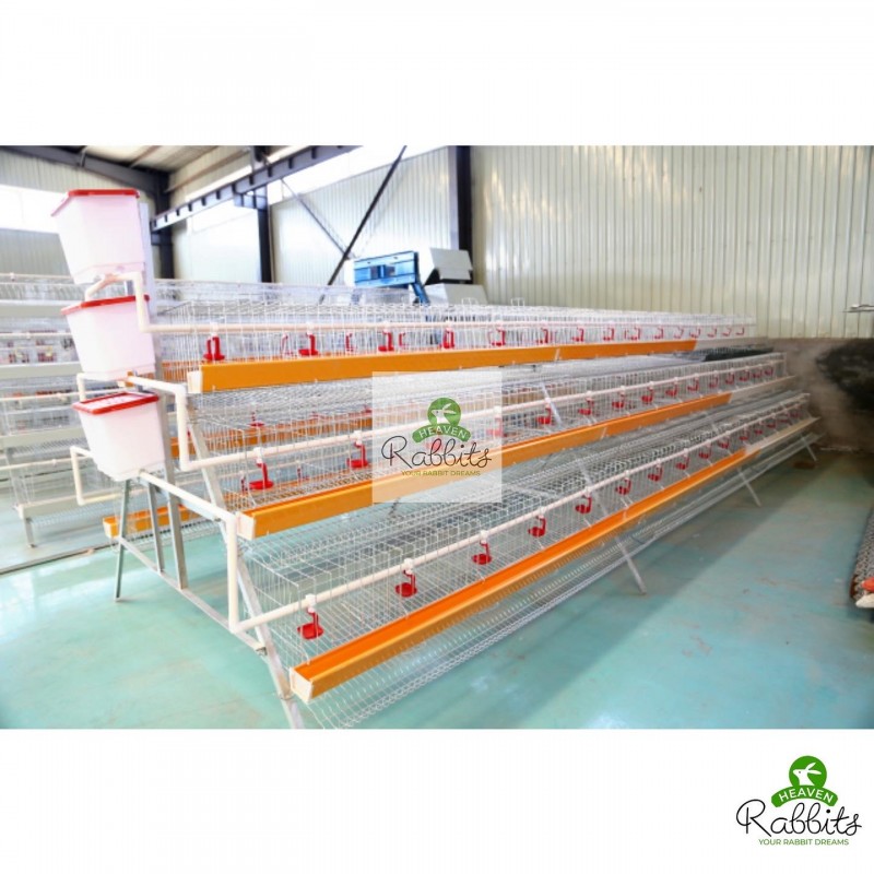Buy Chicken Galvanized Cages by Sendagala Ivan on Selar